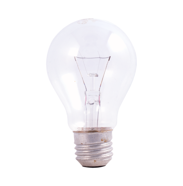 25WATT 230V SCREW-TYPE GLS BULB (CLEAR) - elecshop.lk